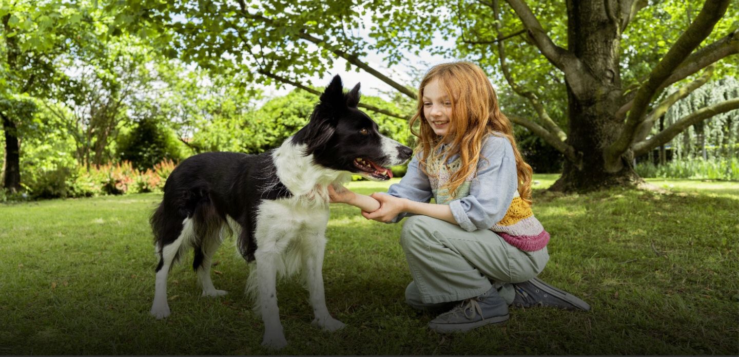 Nuovi bocconcini per cani: gusto e nutrimento | Natural Trainer